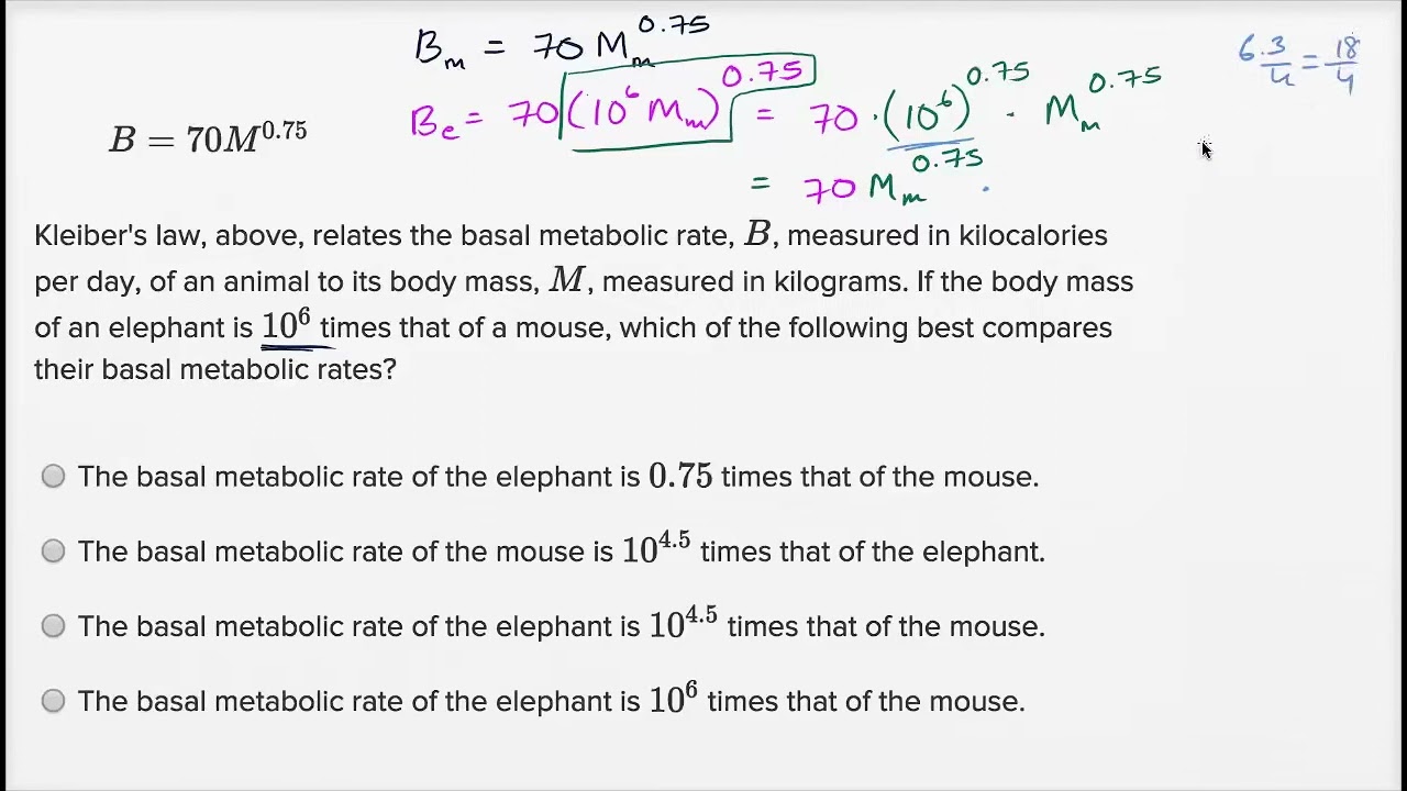 Math Practice - Interpreting nonlinear expressions Basic example