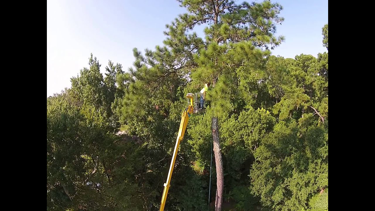 Roberts Tree Service Full Video