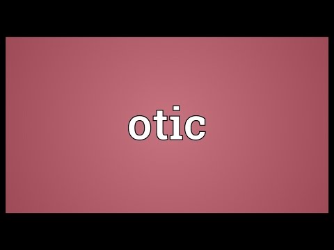 Otic Meaning