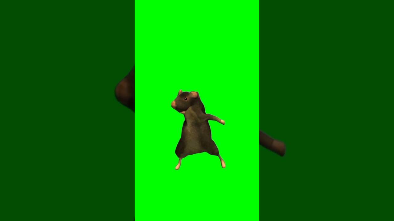 Dancing mouse #fyp #mouse #dance