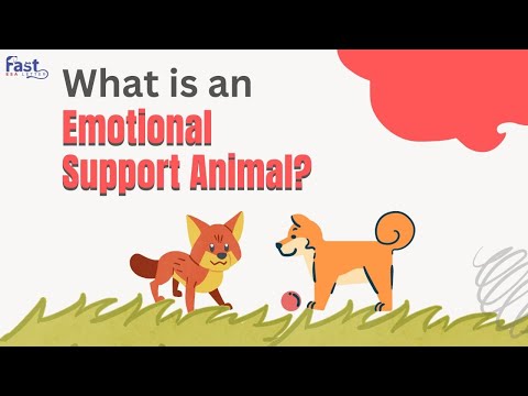 Emotional Support Animals: Everything You Need To Know