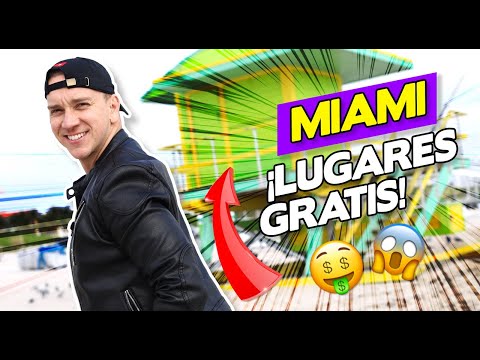 BEING IN MIAMI WITH LITTLE MONEY What to do? - Oscar Alejandro