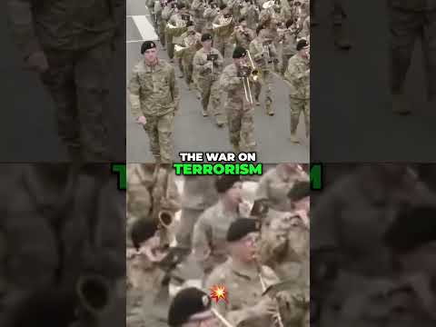 101st Airborne: Screaming Eagles' Legacy and WWII Armor