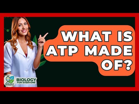 What Is ATP Made Of? - Biology For Everyone
