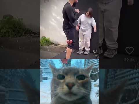 That's gif 😅😅 #funny #zidane #edit #memes #funk #hearttrend #skills #cat #edits