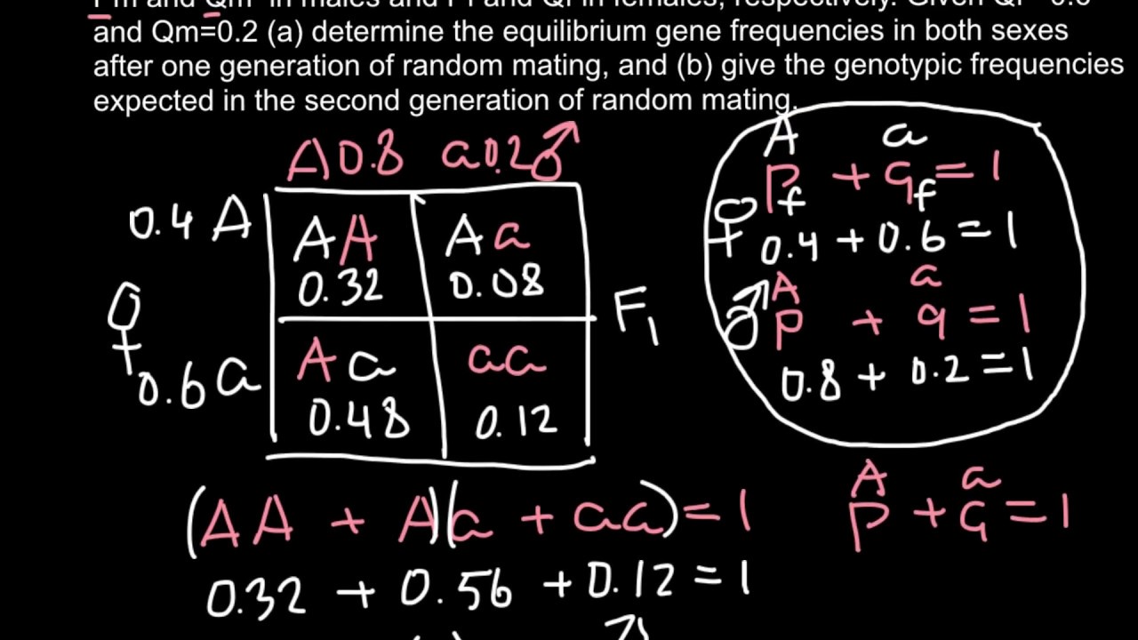 Population Genetics Problem and Solution