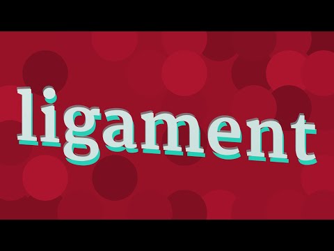 LIGAMENT pronunciation • How to pronounce LIGAMENT