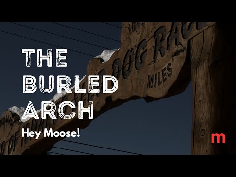 Hey Moose! | Iditarod 2024