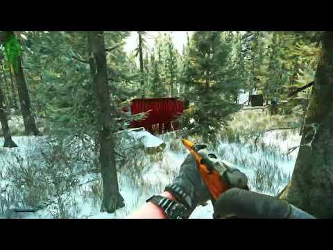 Escape From Tarkov, Woods, PVP, 4K