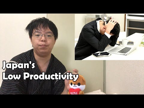 Why Japan Has Low Productivity