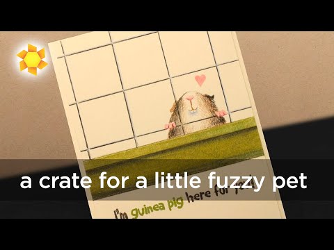 Draw a crate for a little fuzzy pet!  (no line coloring)