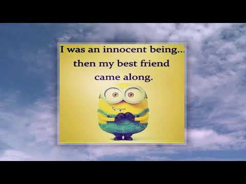 Funny Friendship Quotes for Best Friends