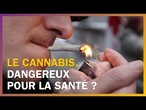 Le cannabis est-il dangereux pour la santé ?