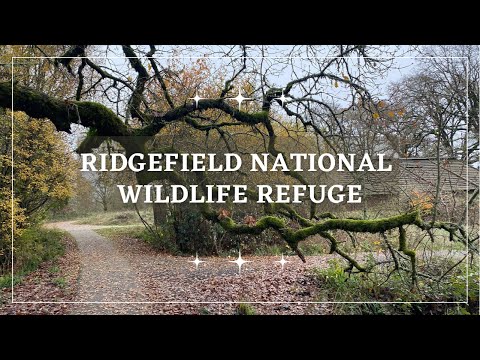 A Visit to the Ridgefield National Wildlife Refuge: Wild Spaces for Community Use