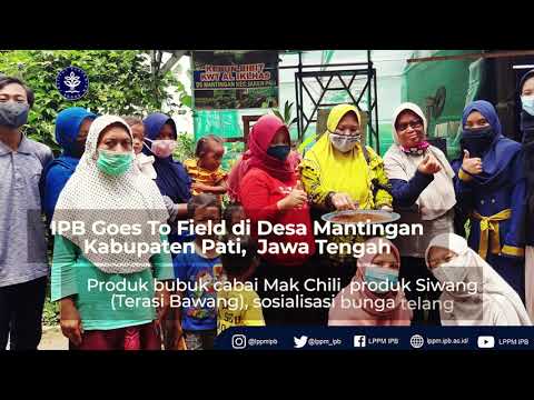 LPPM IPB #30Detik - IGTF Domisili Kelompok IGTF Desa Mantingan