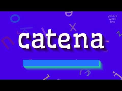 How to say "catena"! (High Quality Voices)