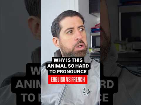 Pronouncing πΏοΈin both English & French is NUTS #comedy #languagelearning #squirrel #frenchvsenglish
