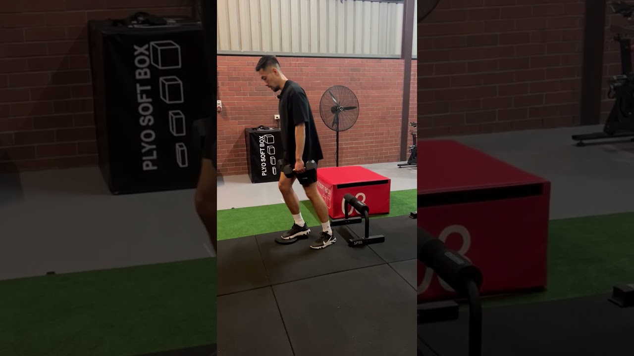 DB Bulgarian Split Squat (Floating Heel)