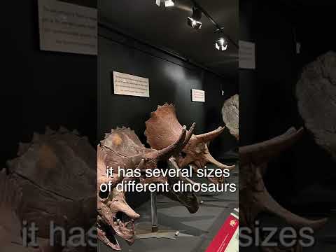 Museum of the Rockies #short