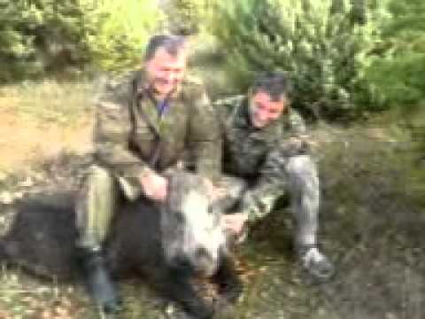 Lov na divi svinji vo Konce part1.3gp
