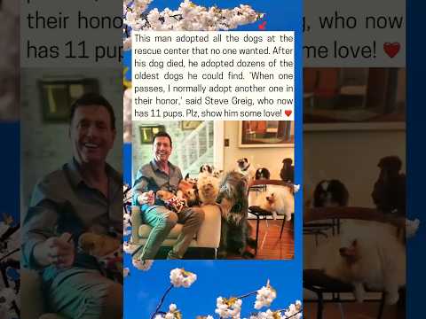 Adopted all dogs at the rescue center