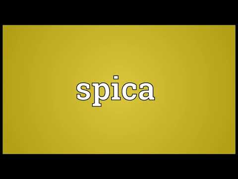 Spica Meaning 2