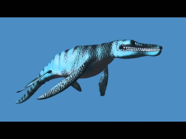 pliosaurus 3D Model - FlatPyramid