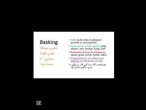 Basking meaning with example || basking synonyms || basking meaning in Urdu #vocabularyforielts
