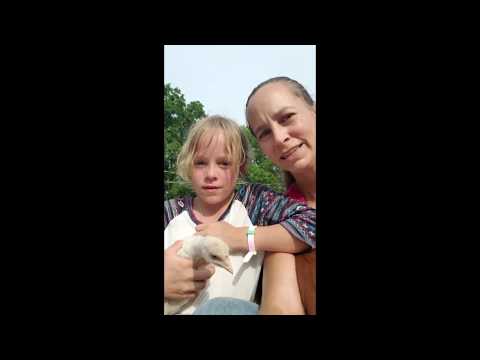 RRF Brief Homestead Tour