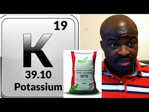 POTASSIUM IS THE 19th ELEMENT FOUND IN NPK FERTILIZER 👏👏 - EVANGELIST ADDAI EXPLAINED