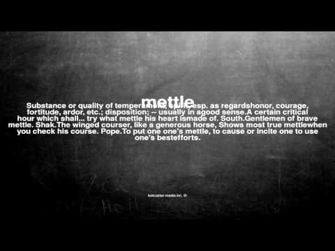 What does mettle mean