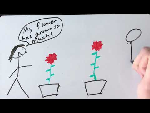 Experience in Education Dewey Video