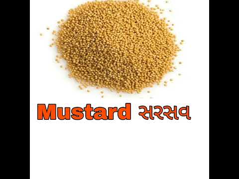 Mustard meaning in Gujarati|
