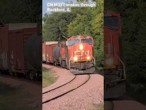 CN M337 Snakes through the S-curve at Kishwaukee St. in Rockford, IL