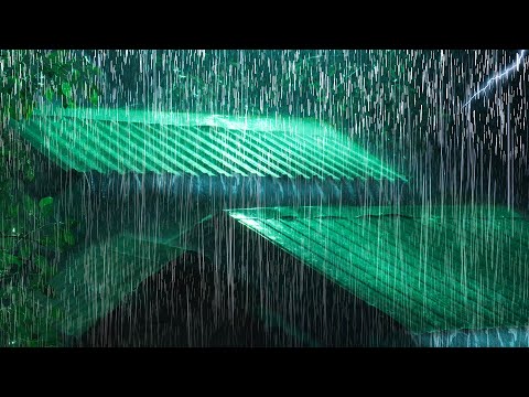 Say Goodbye to Stress & Insomnia with Torrential Rain on a Metal Roof and Howling Winds
