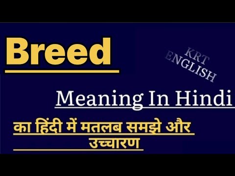 Breed meaning in hindi || Breed ka matlab kya hota hai || word meaning english to hindi