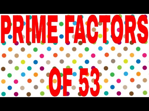 Prime factors of 53