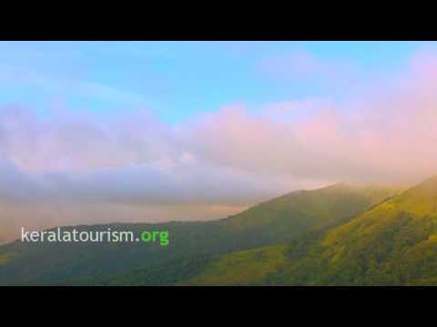 Nelliyampathy Hills, Trekking, Palakkad, Kerala, Video, India | Kerala ...