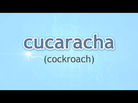 How to Pronounce Cockroach (Cucaracha) in Spanish