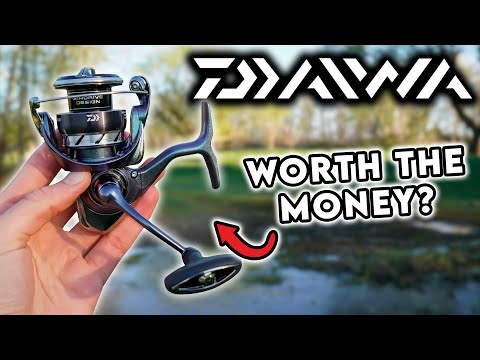 Daiwa Regal LT Full Review: A Fishing Reel We Need To Discuss...