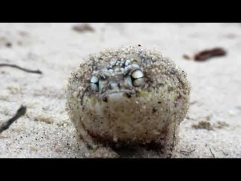 Steam Community :: PAYDAY 2