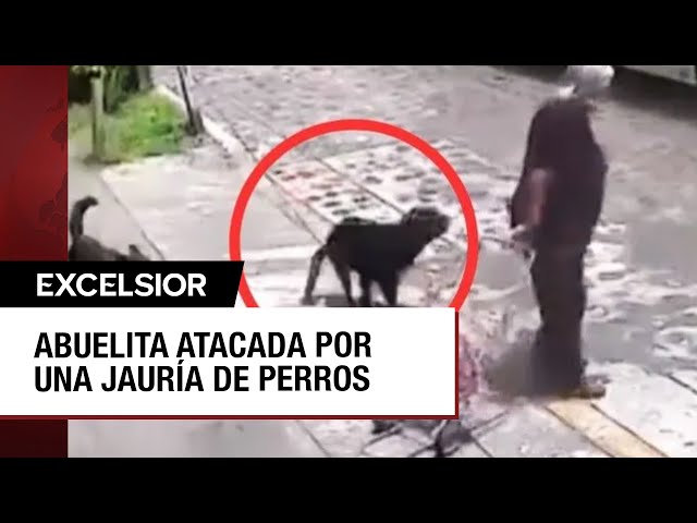 Castigan a tablazos a sujetos que violentaron a una mujer en Sahuayo ...