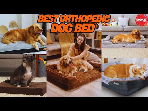 Top 10 Best Dog Bed of 2025 (Don't Buy Before Watching This)