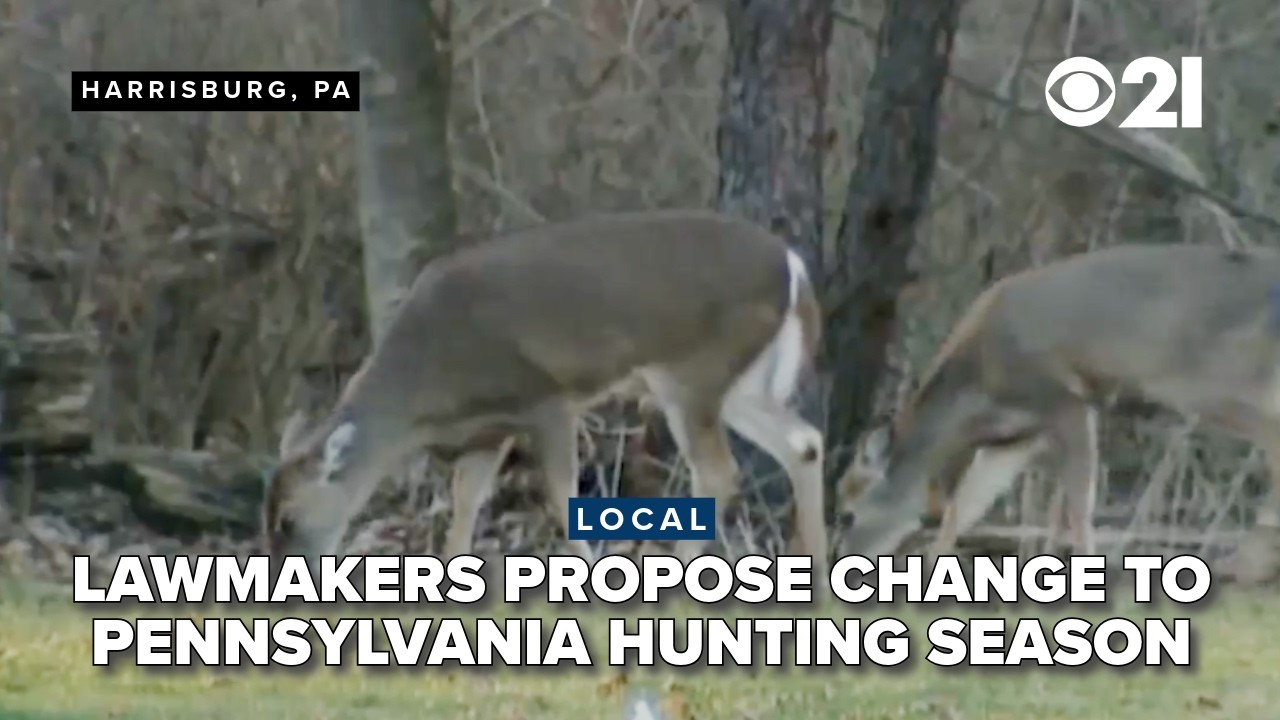 New Pennsylvania bill aims to make hunting season start Monday after Thanksgiving