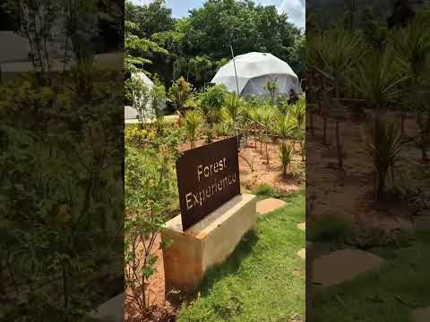 Rewild Doddaballapur: Own Eco-Luxury Plots Near Bangalore's Scenic Getaway!