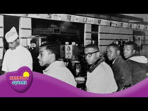 Civil Rights Movement in America - Standing Up For Freedom on the Learning Videos Channel
