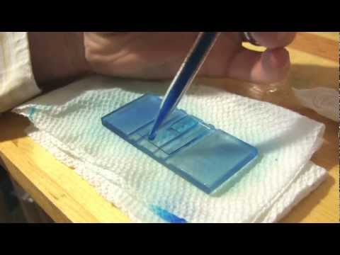 How to use a Hemocytometer to count viability
