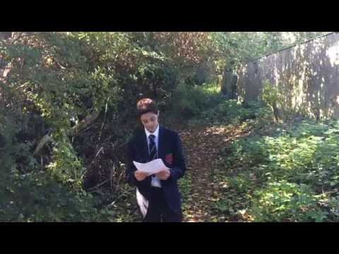 Geography Ecosystems