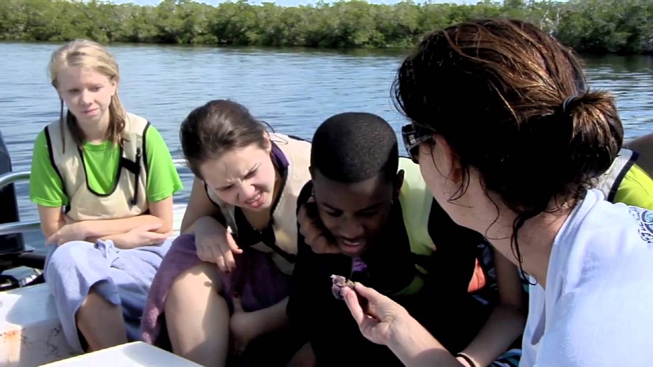 MarineLab Promo Video