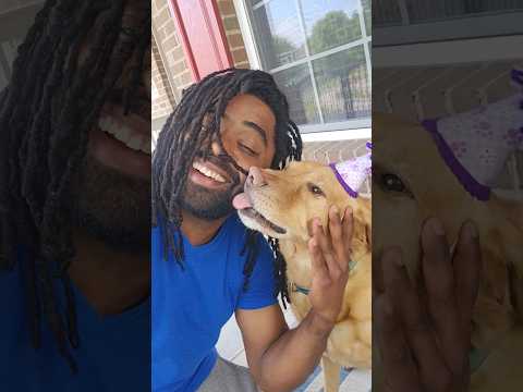 CUMPLEAÑOS DE SIMBA 9 AÑOS #dogs #dogsvideos